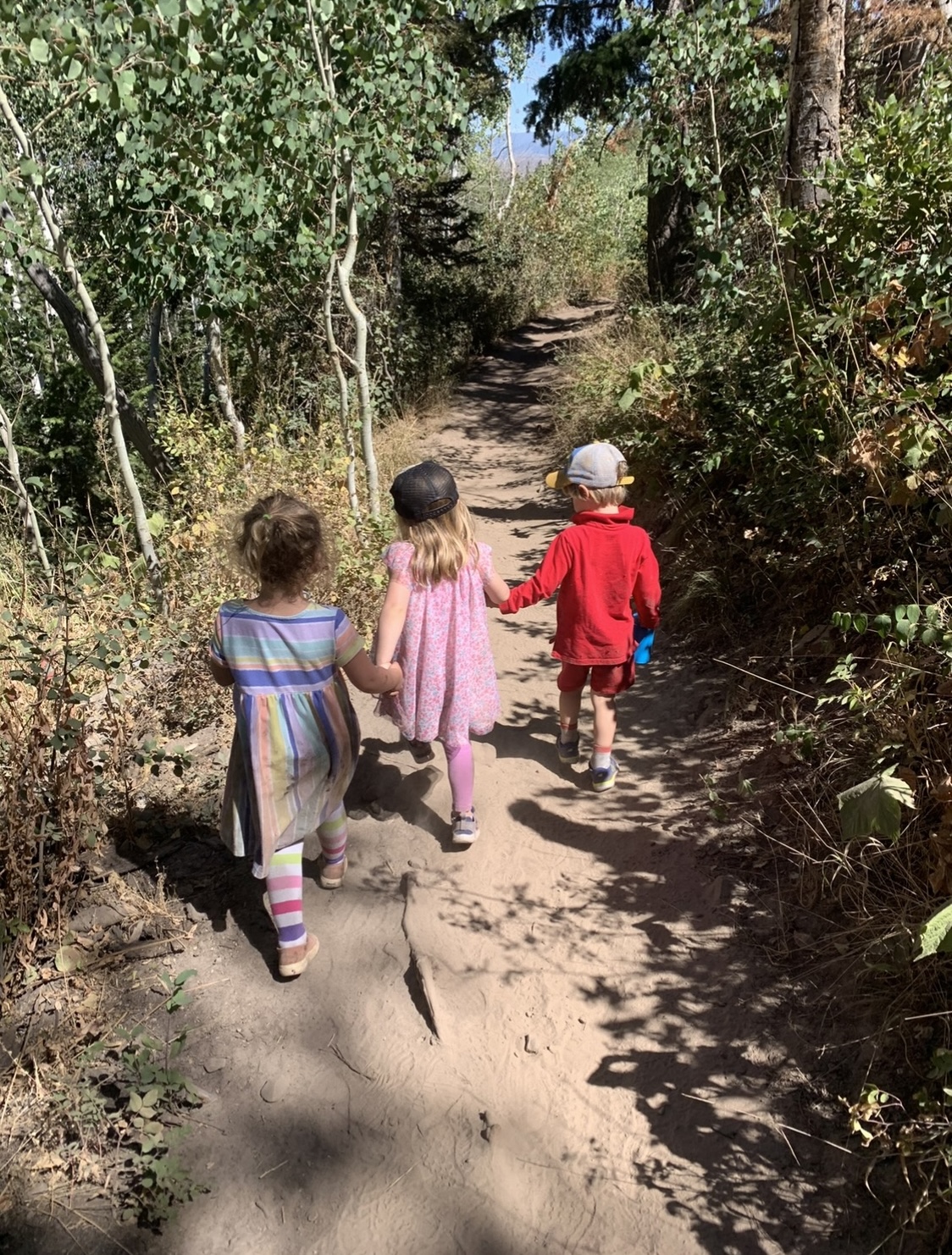 Nature Play School, Outdoor School, Dancing Cranes, CedarSong Way